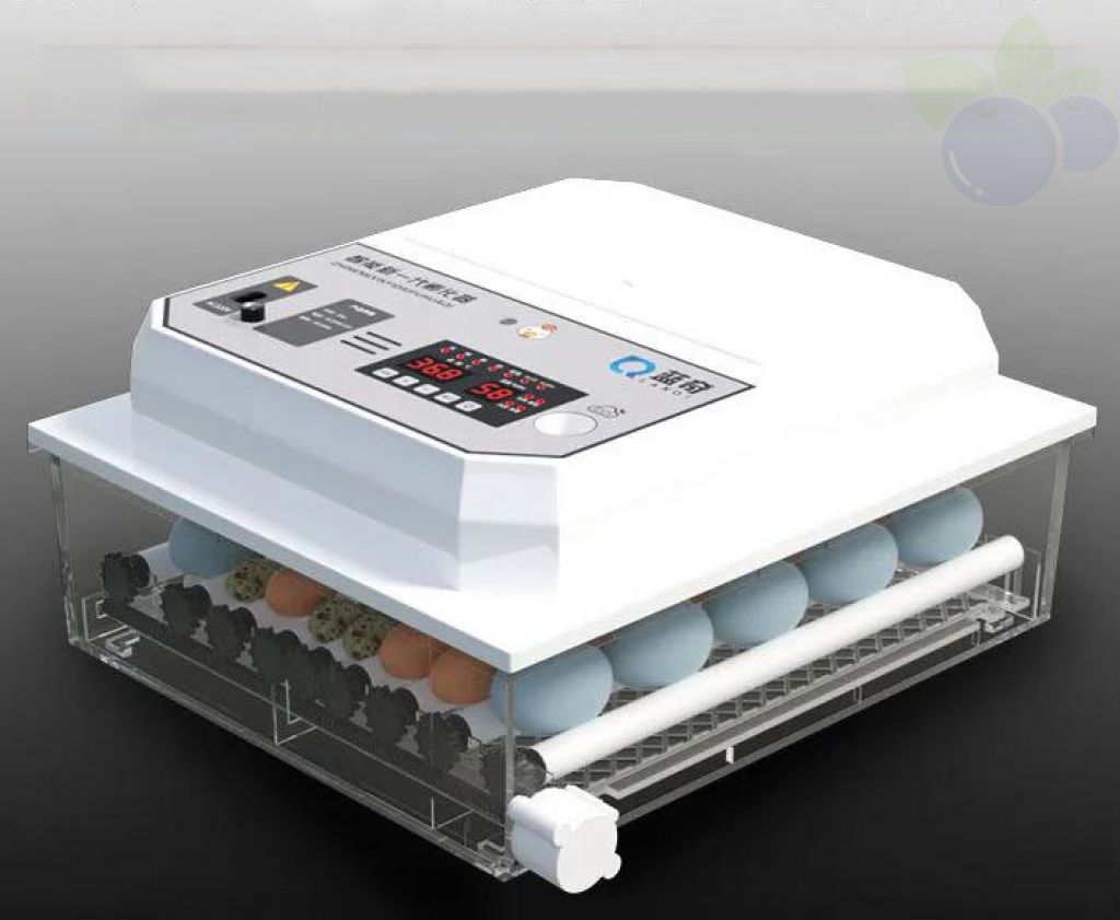 Automatic Egg Incubator 36 eggs Digital Eggs Incubator Fully Automatic ...